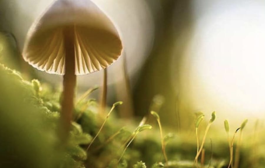 Successful “green” steps taken towards achieving Environmental ...